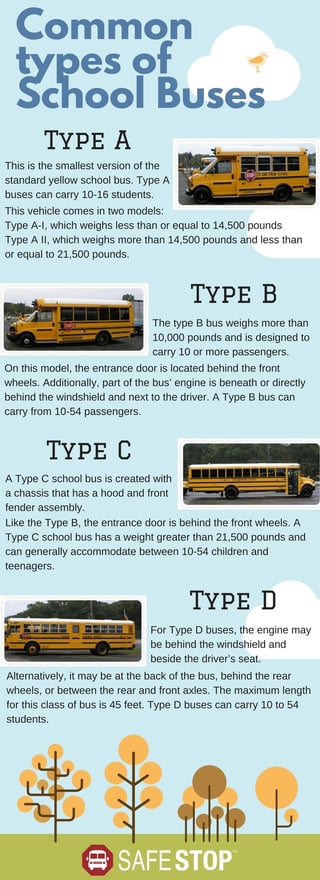 How Long is a School Bus? (Infographic)